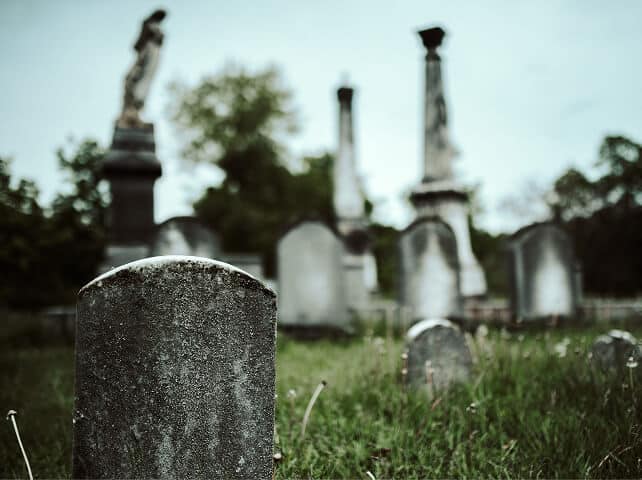 Memorial Trees With Ashes: Natural, Eco-Friendly Tree Cemetery Near Me