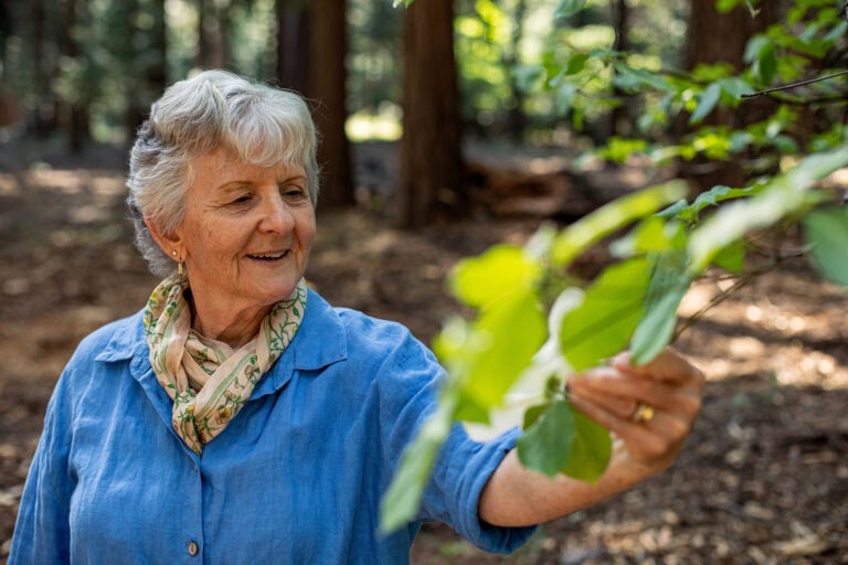 12 Heartfelt Obituary Examples for a Mother & Free Templates