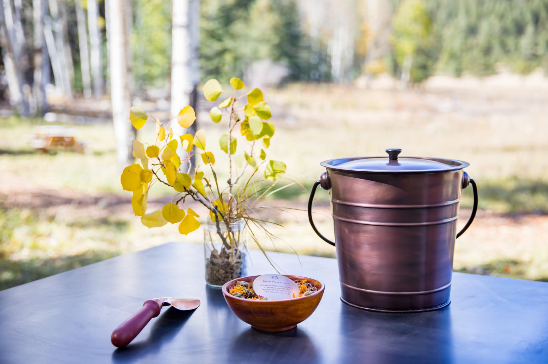 A Guide to Scattering Ashes in Arizona | Laws, Locations & Meaningful Ideas